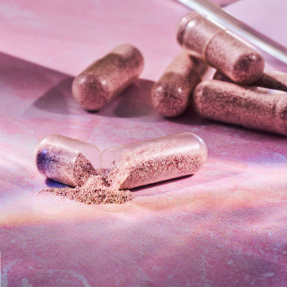 Digestive Support Supplements — NatureWise